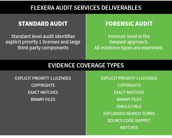 Understanding Standard and Forensic Audit Services | Revenera Blog