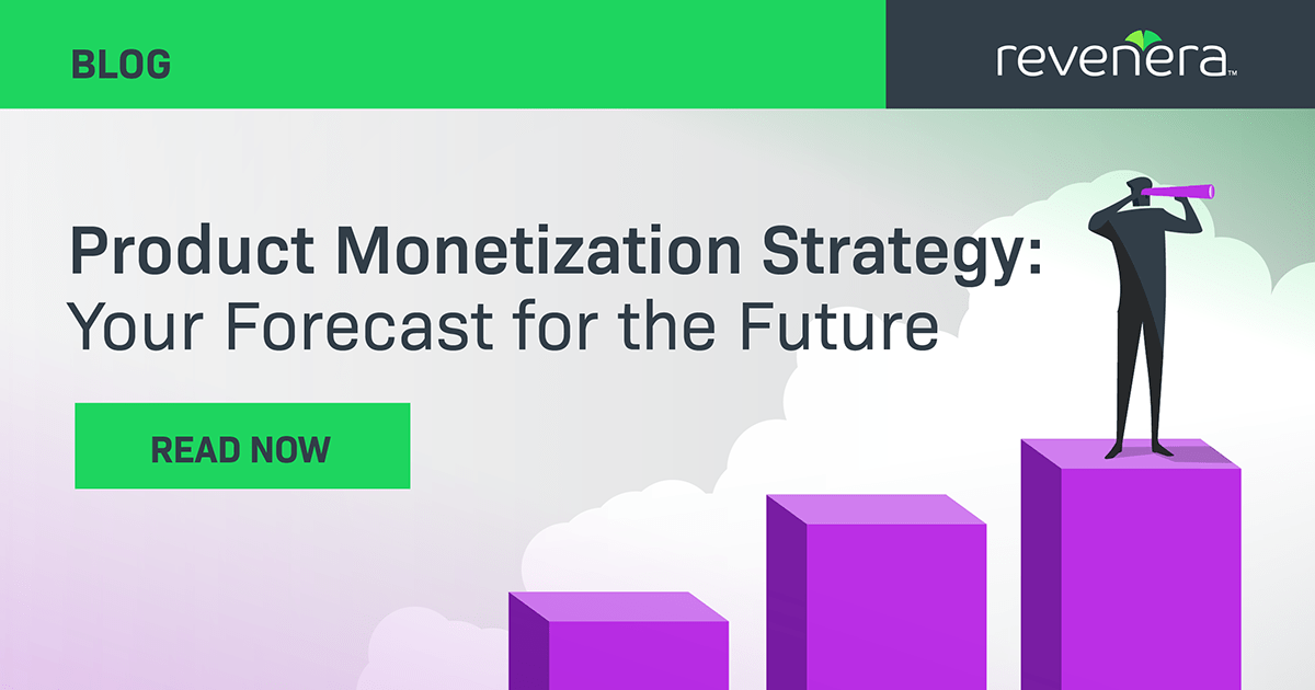 Product Monetization Strategy for 2025