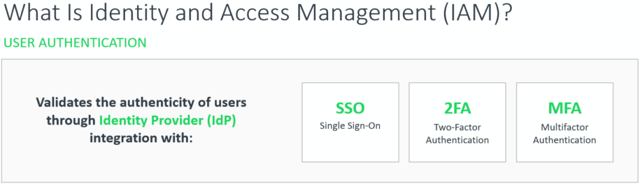 SaaS Use Rights: IAM & Entitlement Management
