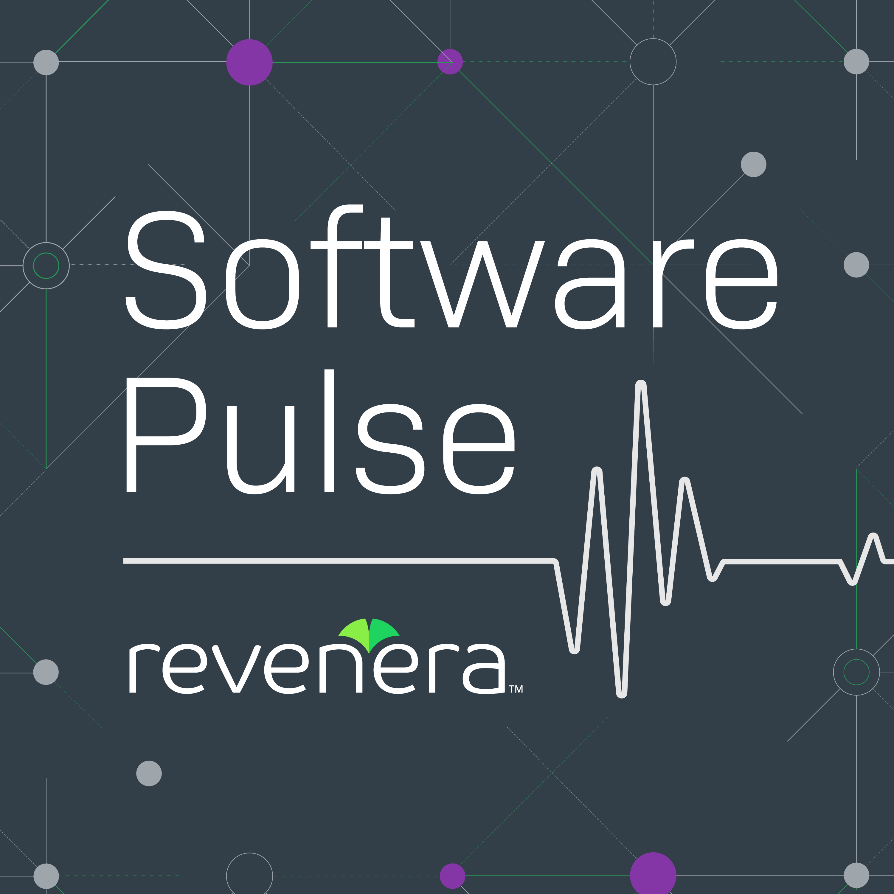 Revenera Podcasts - Software Pulse